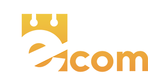 The Ecom Automation